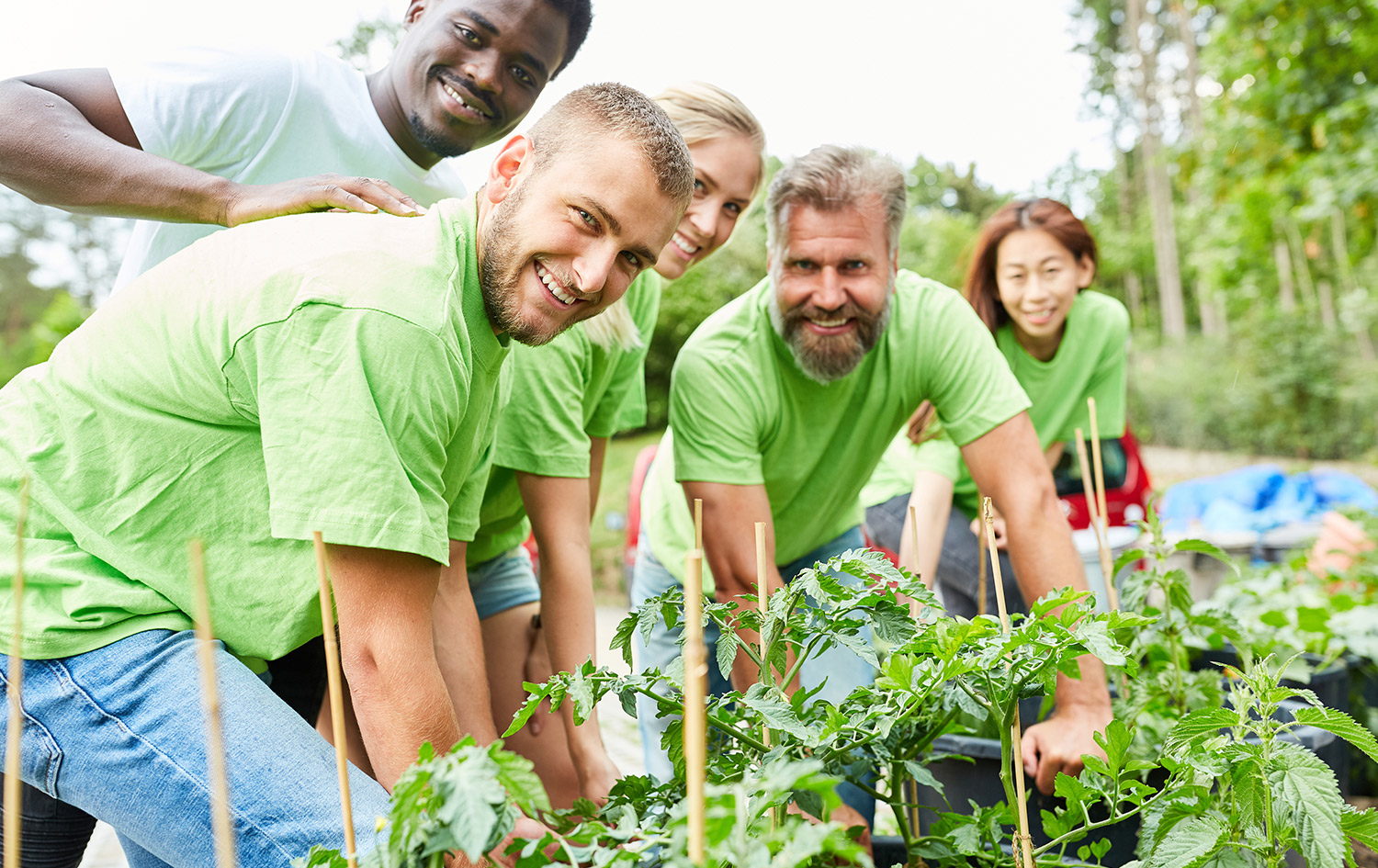 Community Action: How You Can Help • Kiwis For Good Foundation